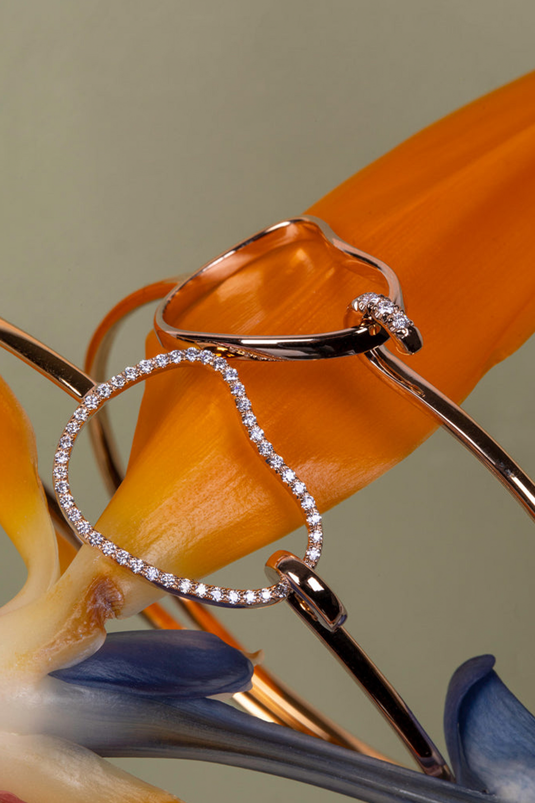 Studio Line – Karolin Studio